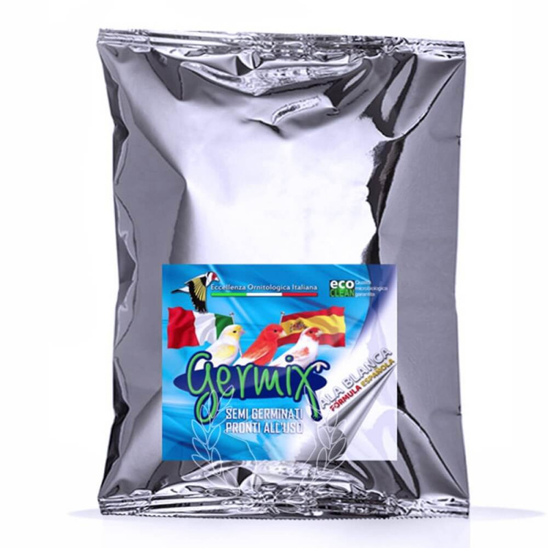 Germix Ala Blanca ( Canarios ) Máxima Calidad