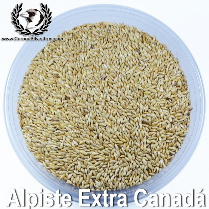 Alpiste extra Canadá para Canarios, Jilgueros mixturas para pájaros