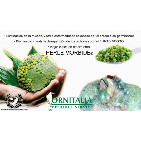 Perle Morbide - Perla Morbida Ornitalia